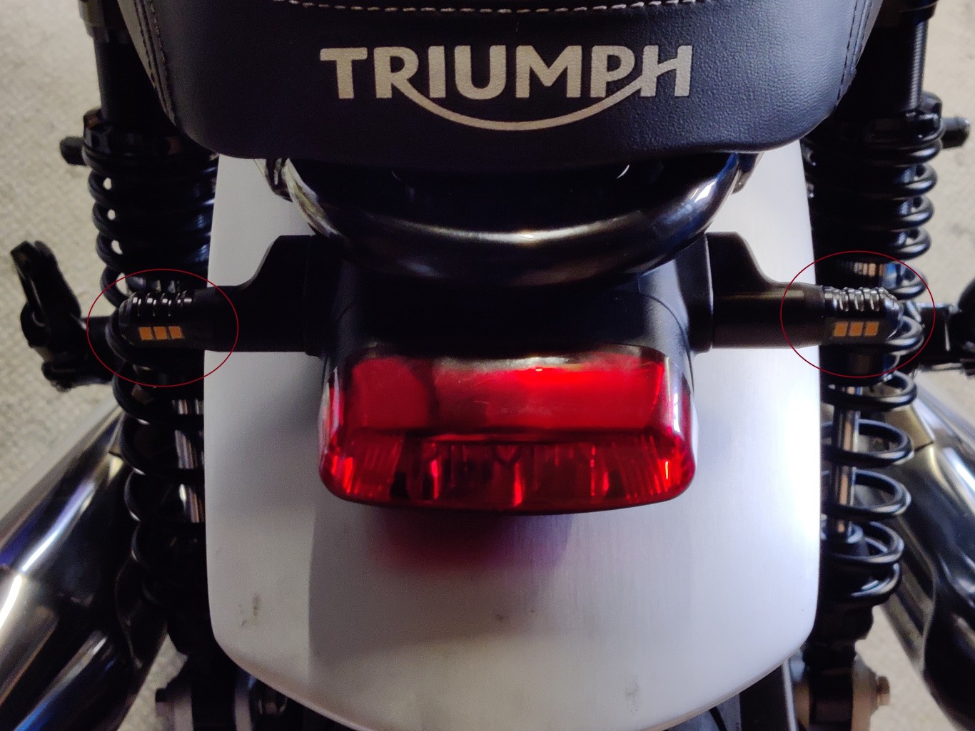 What did you do with your water cooled twin today? | Page 316 | Triumph ...